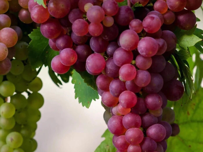 入了心的人，见与不见依然想念。_一小迷糊一-站酷ZCOOL